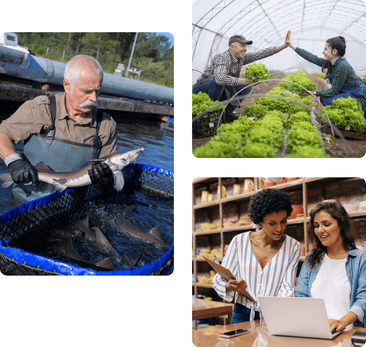 Process - Maine Funding Network